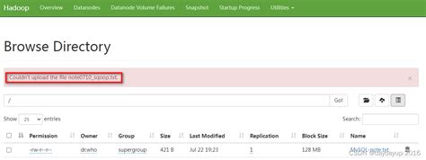 【大数据技术】hadoop313在网页端上传文件失败的解决方法本地上传文件到hadoop在host添加了网址还是失败 Csdn博客