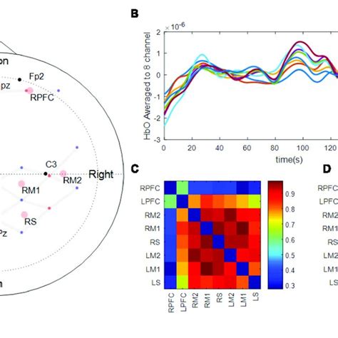 Fnirs Probe Design A And Functional Connectivity Analysis Procedure Download Scientific