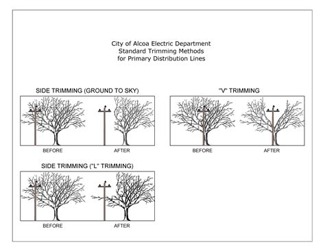 Tree Trimming And Planting Alcoa Tn
