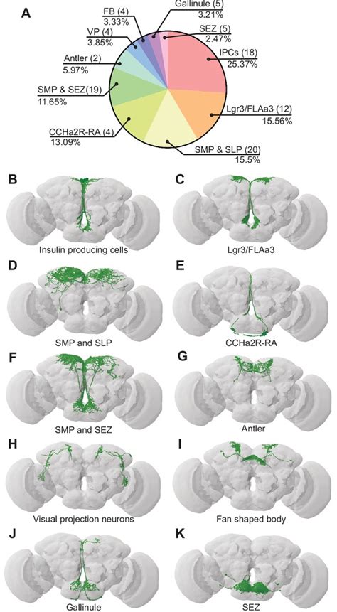 Hunger And Thirst Sensing Neurons Modulate A Neuroendocrine Network To Coordinate Sugar And