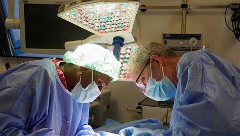 Ehs Advanced Mis Laparoscopic Cadaveric Hernia Course Ehs