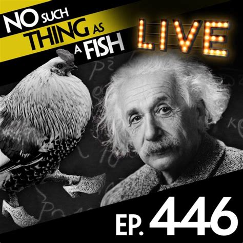 Episode 446 No Such Thing As A Ninja Wearing Clogs No Such Thing As