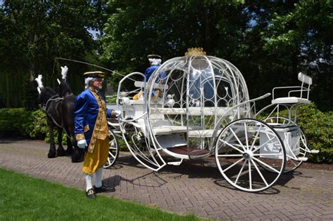 Cinderella Assepoesterkoets Stalhouderij Hazeleger