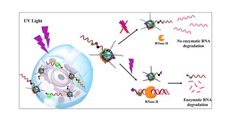 Light Activated Nanodiamond Based Drug Delivery Systems For