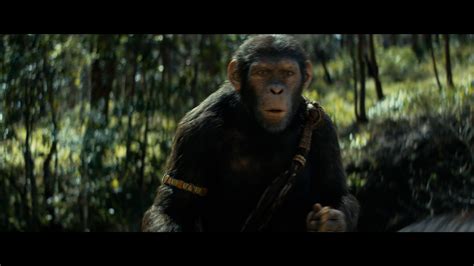 Rise Of The Apes Caesar New Look Into The World Of Kingdom Of The