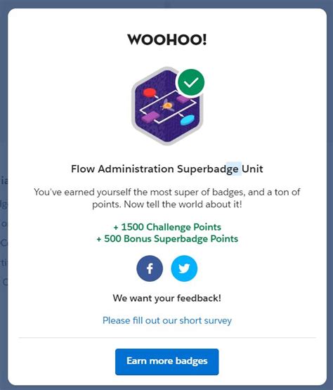 Raja Lakshmi S On Linkedin Superbadge Flows Salesforceautomation