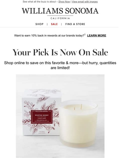 Williams Sonoma Good News Williams Sonoma Winter Berry Frosted Candle