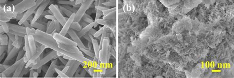 SEM Images Of A Ni Sr HAP And B Ni Sr HAP F127 Samples Download Scientific Diagram