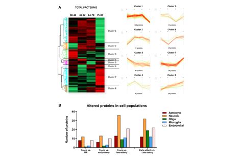Brain Aging Insights From Individuals Without Neurodegeneration Aging