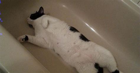 So I Guess Im Not Showering Tonight Imgur