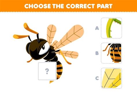 Hoja De Trabajo Sobre Insectos Proyecto Insectos 2 Pdf Aprendizaje