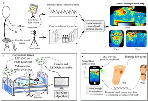Rice Computational Imaging Group Veeraraghavan Lab