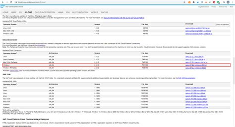 Sap Cloud Connector How To Connect An Abap Syste Sap Community
