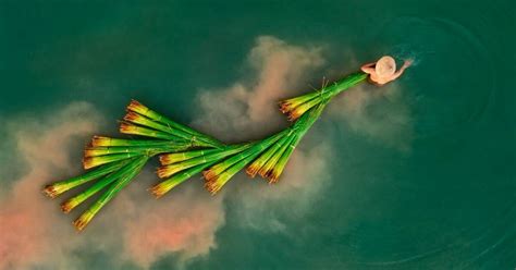 Фото дня сбор травы для соломинок