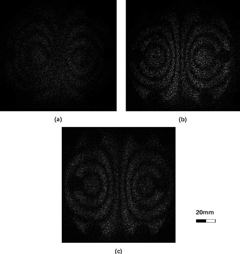 Figure 3 From Digital Shearing Speckle Pattern Interferometry Based On Rochon Prism And Its