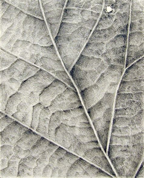 Tree Leaves Texture Drawing