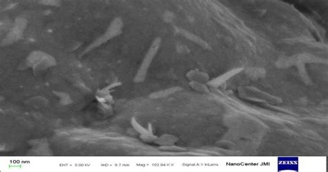 Microstructure Obtained By Sem At 900 Rpm 1110 1320 1750 A 01mm Download Scientific