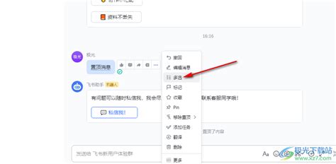 飞书怎么合并转发多条群消息？ 飞书合并转发多条群消息的方法 极光下载站