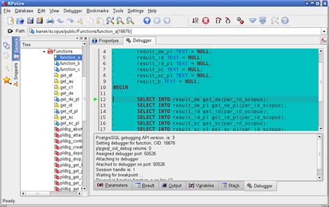debug pl pgsql functions