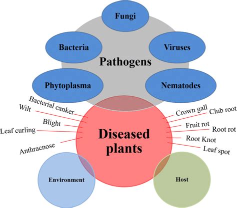 Unveiling The Layers A Comprehensive Exploration Of The Causes Of