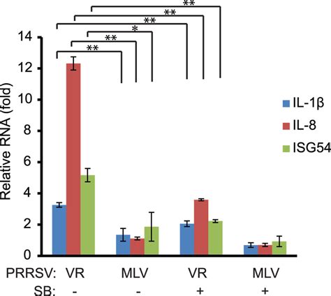 Vr 2385 Infection Leads To Higher Expression Of Proinflammatory