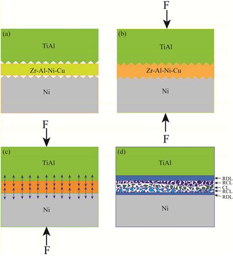 Schematic Diagram Of The TPB Process Download Scientific Diagram