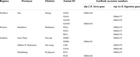 Babesia Spp Nucleotide Sequences Amplified In Thailand Strain Were Download Scientific Diagram