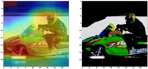 Example Of Explanation Heat Map And Corresponding Occlusion Obtained