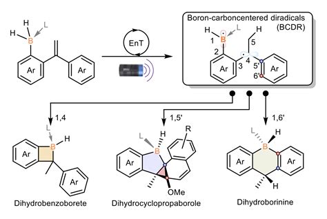 Hkust Chemists Innovate In The Synthesis Of Chiral Bridged Polycyclic Compounds School Of