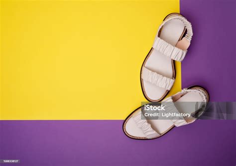 주름진 디자인의 가죽으로 만든 가벼운 여성용 여름 샌들로 복사 공간이 있는 두 가지 색상의 배경에 있습니다 평면도 평평하게 누워 있습니다 신발 가게의 디자인 광고 모형 0