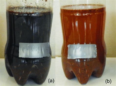 Sual Aspect At 15 Days For Batch Reactors A 2E And B 2F Download Scientific Diagram