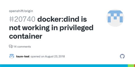 Dockerdind Is Not Working In Privileged Container · Issue 20740