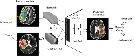 The Pipeline Of Our Classifier Input To The Classifier Were Patches