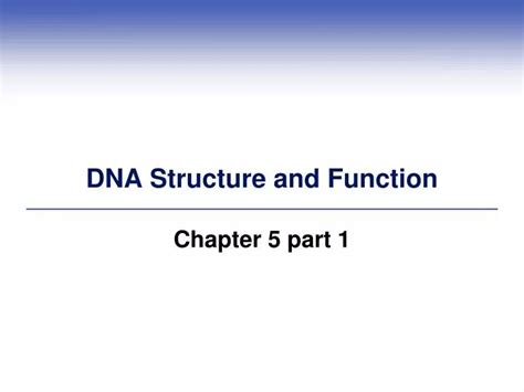 PPT DNA Structure And Function PowerPoint Presentation Free Download ID 3049302