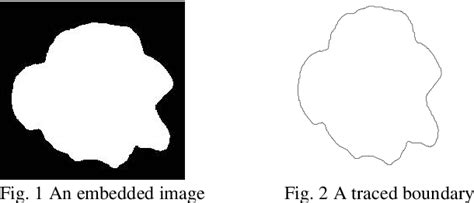 Figure 1 From Beta Spline Surface Fitting To Multi Slice Images Semantic Scholar