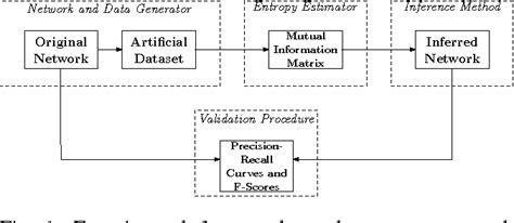 Figure 1 From Information Theoretic Inference Of Gene Networks Using Backward Elimination