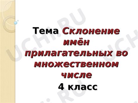📈 Презентация №6 по теме “Склонение имен прилагательных во множественном числе” для 3 класса