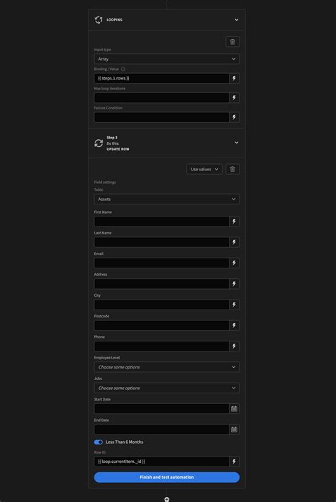 Update Rows Automation Return With Invalid Inputs When Fields Are Left Blank · Budibase