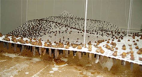 Basler Läckerli Claudia Vogel