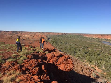 Restoring Pilbaras Tussock Grasslands Greening Australia Greening Australia