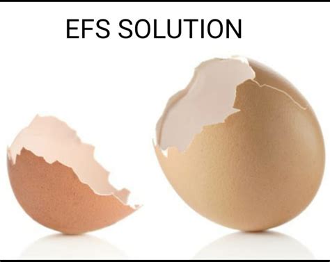 Drvmohan Rajs Fertility And Gynae Centre Empty Follicle Syndrome