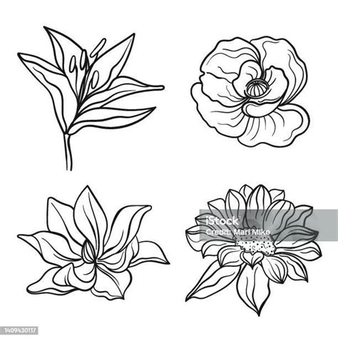 벡터 라인 블랙 일러스트 그래픽 꽃 세트 백합 양귀비 목련 해바라기 색상 얼룩 목련 온대 식물에 대한 스톡 벡터 아트 및 기타