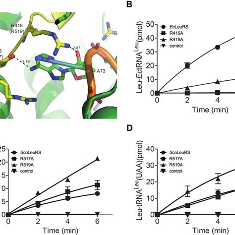 A Schematic Representation Of The Complementation Assay B Download Scientific Diagram