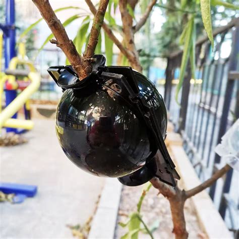 China Airport Security Trays For Sale Manufacturer And Supplier Factory Yubo