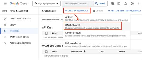 Add Social Provider Sign In React Aws Amplify Gen 1 Documentation
