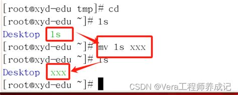 嵌入式全栈开发学习笔记 Linux基本命令2 Csdn博客