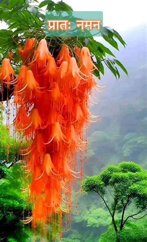 Mahmod Mahmod Added A New Photo