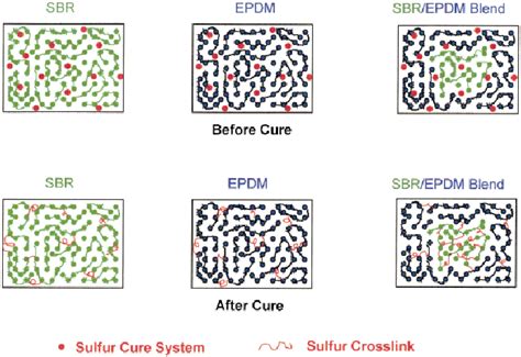 A Shematic Diagram Of Curing Incompatibility Of Epdm Sbr Blend Download Scientific Diagram