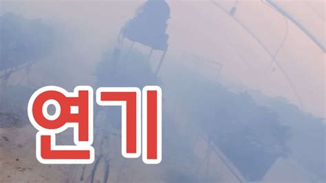 딸기농사 연막방제 단동편 Youtube