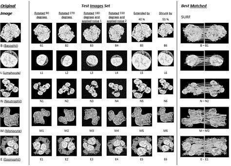 Test Image Set Applied On The Surf Algorithm Download Scientific Diagram